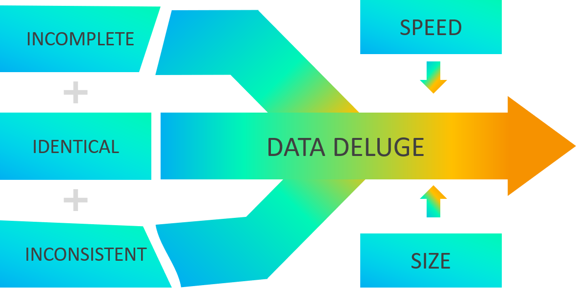 Services – IT Shoulders